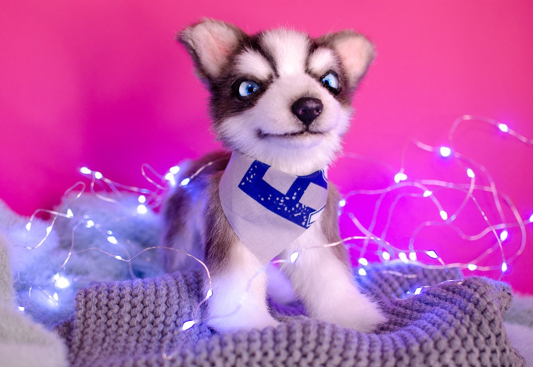 Husky Art Doll. Husky Puppy Pet Doll Toy Animal. Cute Puppy Husky ...