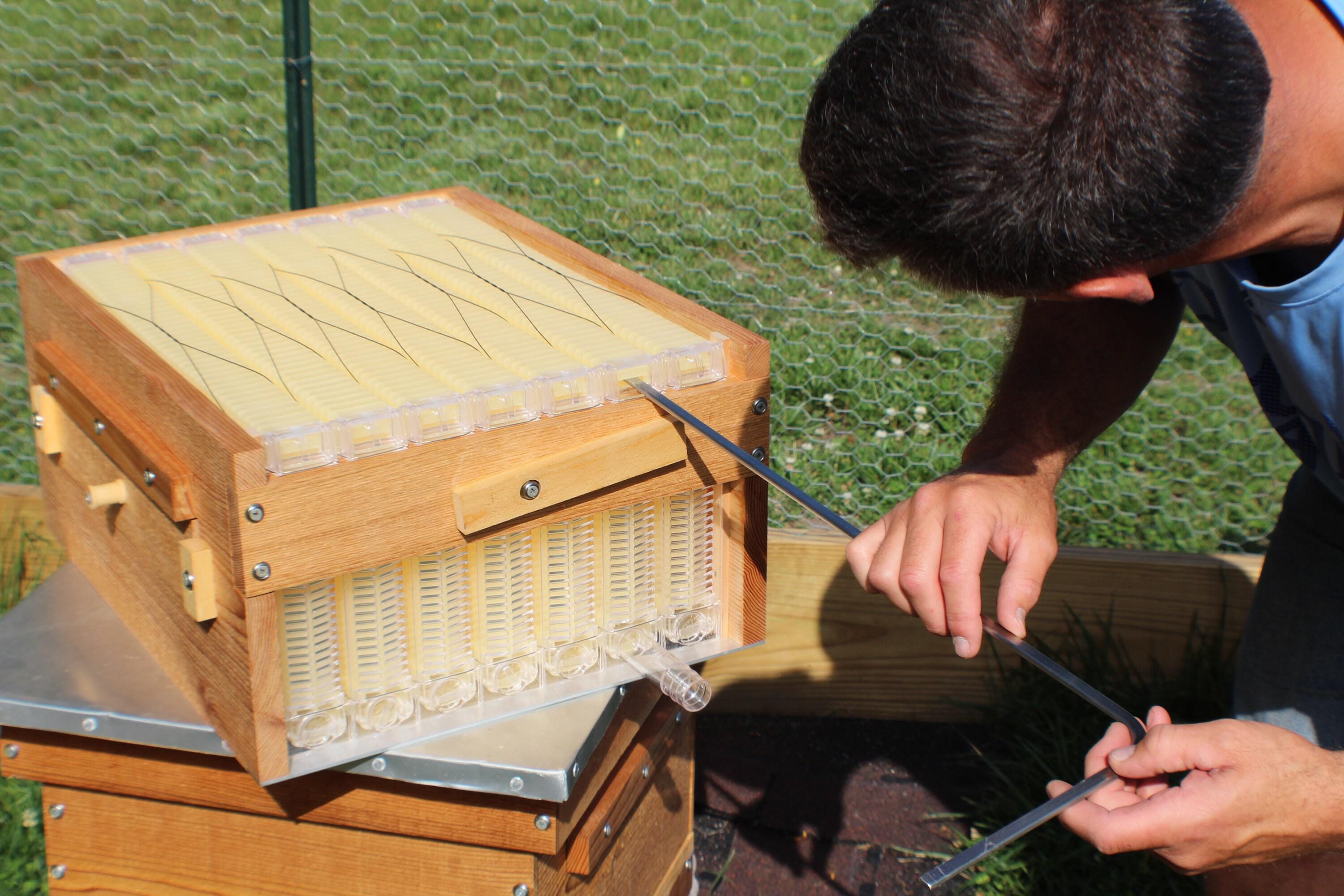 DIY Honey Super Plans – Langstroth Beehive, Flowing Frames (PDF ...