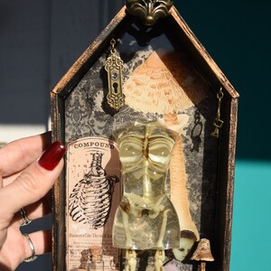 Found Objects Skeleton Figure Vignette Shelf - Collage Art - Vintage ...