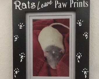 Rats Picture Frame - Etsy