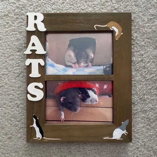 Rat Paw Prints 4x6 Picture Frame - Etsy