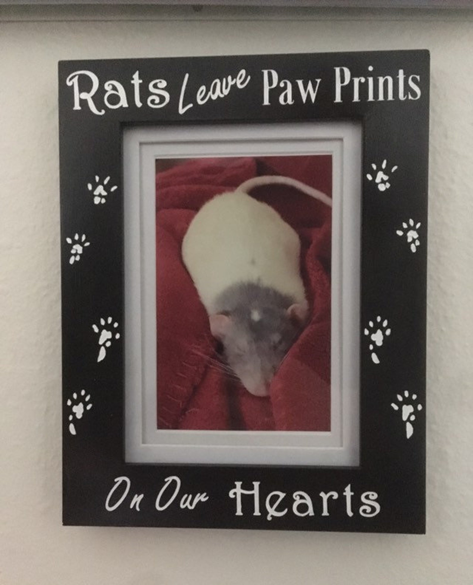 Rat Paw Prints 4x6 Picture Frame | Etsy