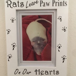 Rat Paw Prints 4x6 Picture Frame - Etsy