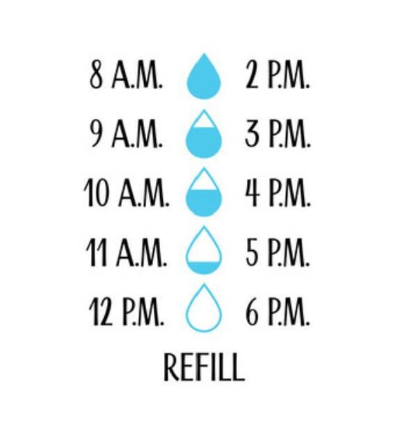 Water Bottle Decal / Water Level Decal / Sticker for Water - Etsy