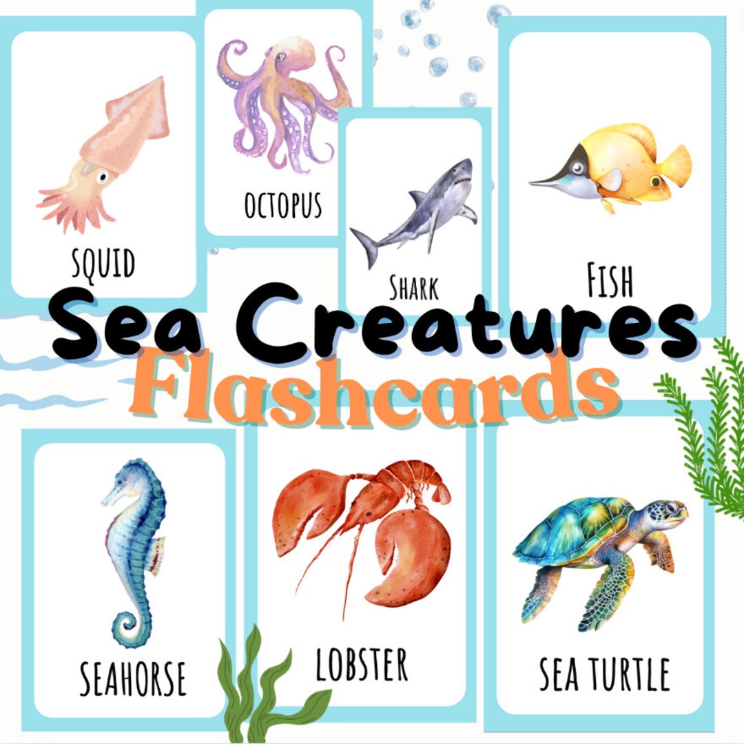 Sea Creatures Flashcards Printable Preschool Homeschool Cards Ocean ...