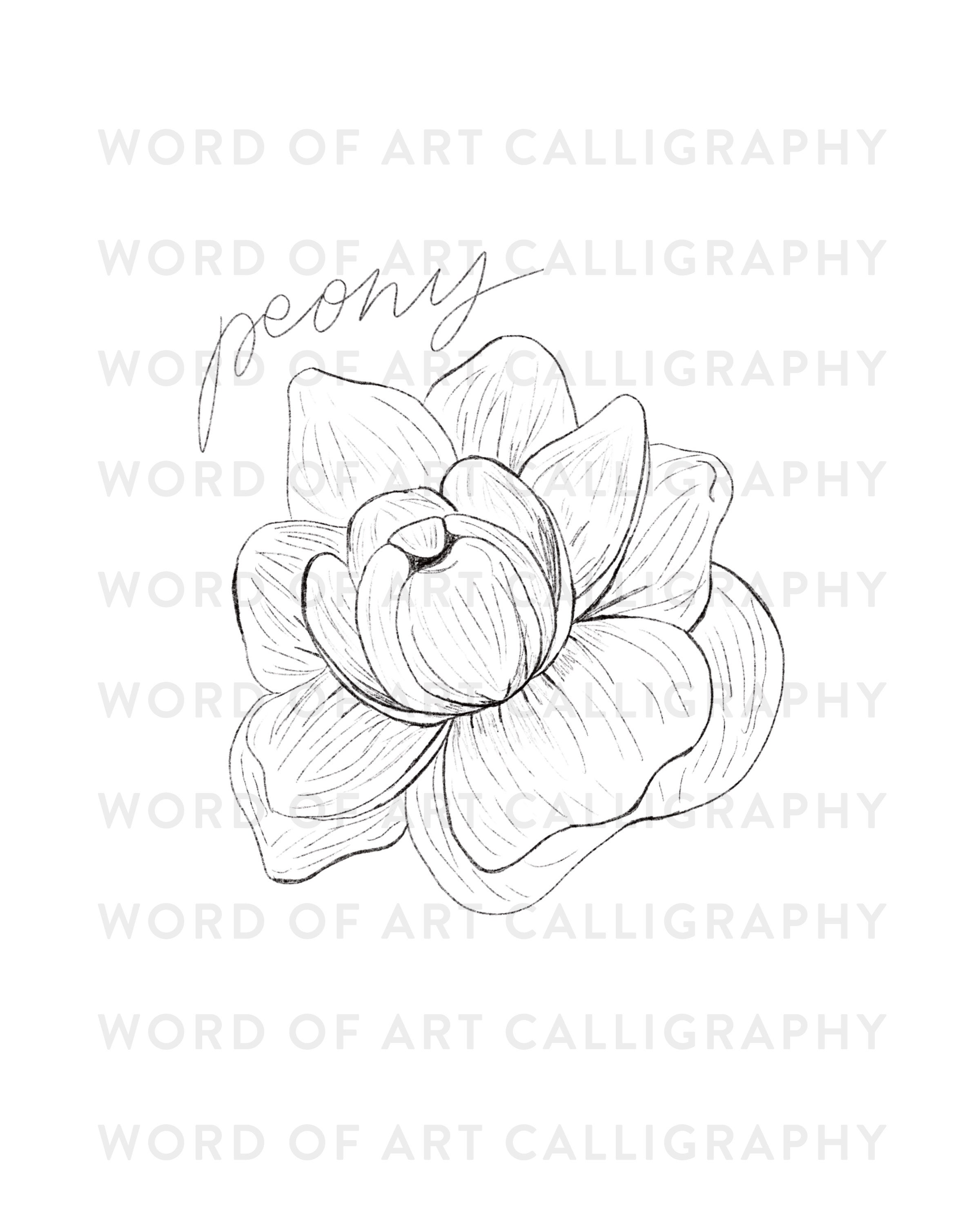 Peony Flower Printable | Digital Download | Flower Printable | Hand ...