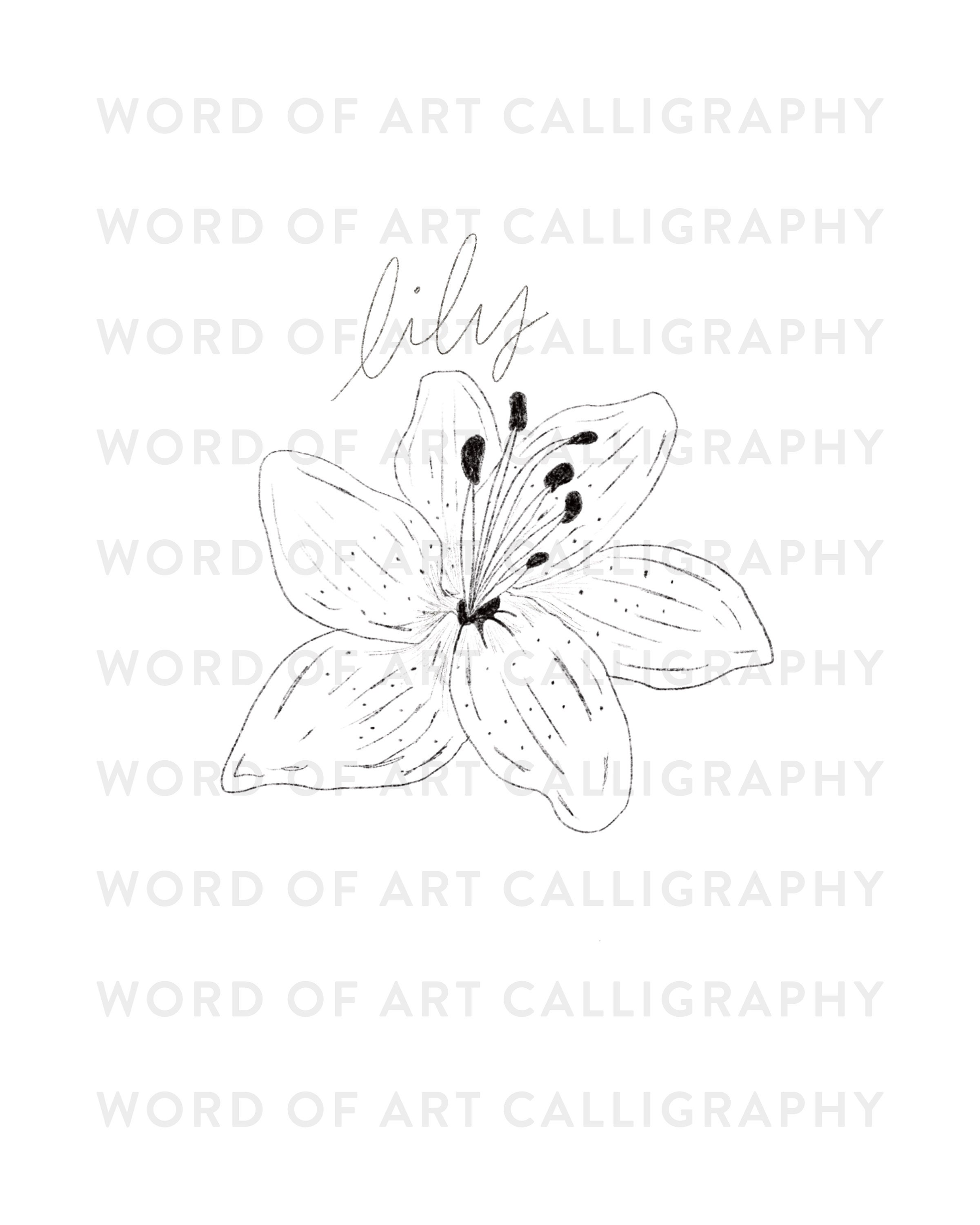 Lily Printable | Botanical Printable | Lily Flower Drawing | Digital ...