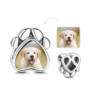 Pandora Charm - Etsy