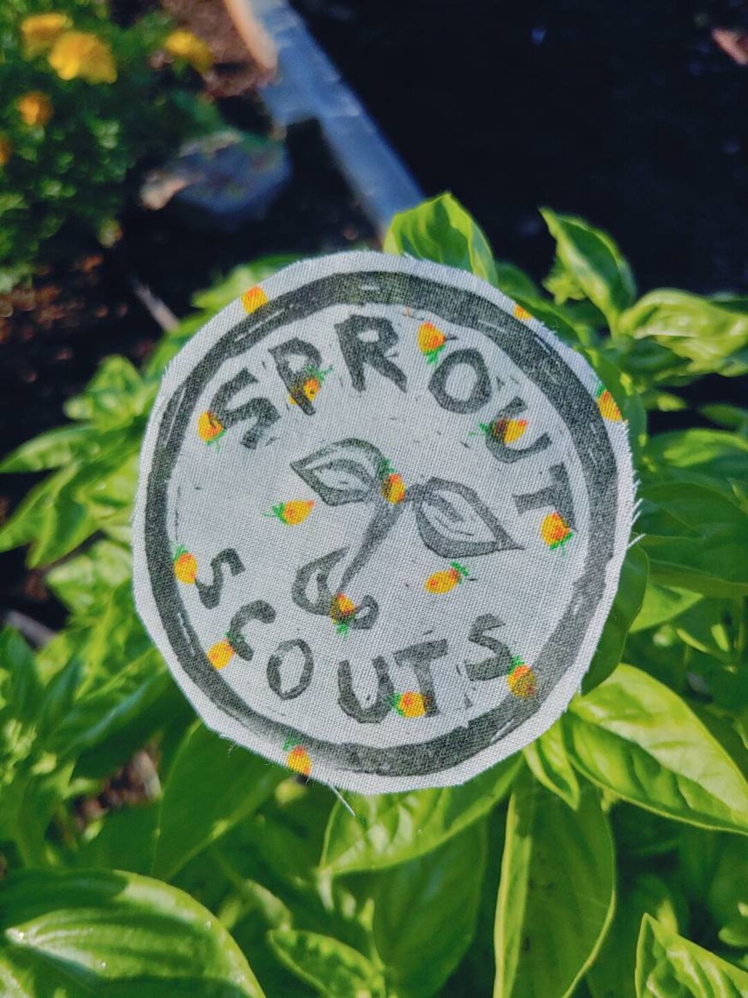 Sprout Scouts - Mini Patch Fundraiser for Middle School Community ...