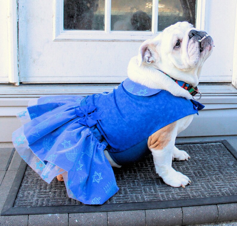 Winter Holiday Themed Princess Dress | Etsy