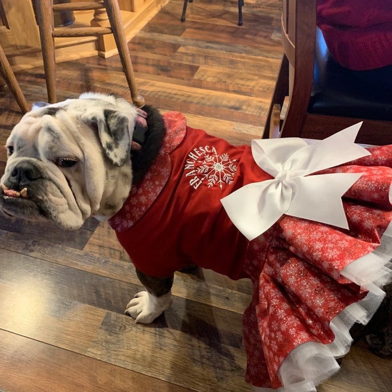 Winter Holiday Themed Princess Dress - Etsy