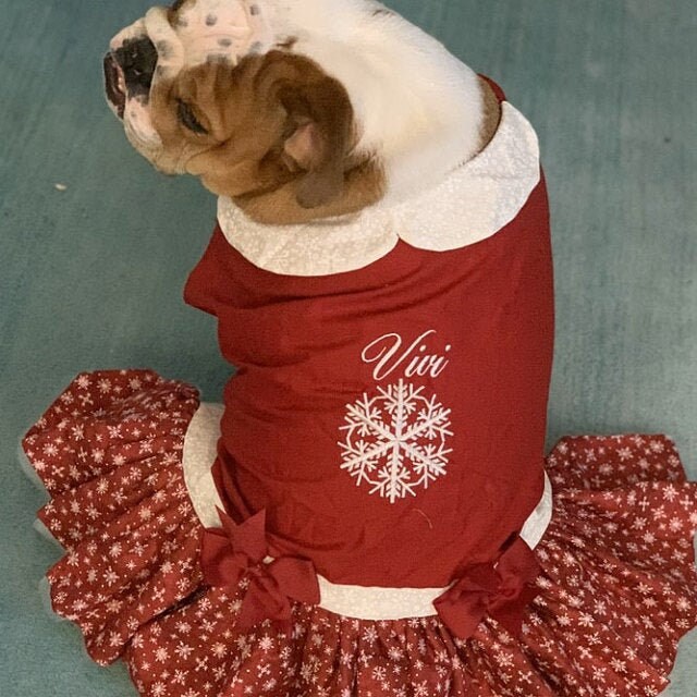 Winter Holiday Themed Princess Dress | Etsy