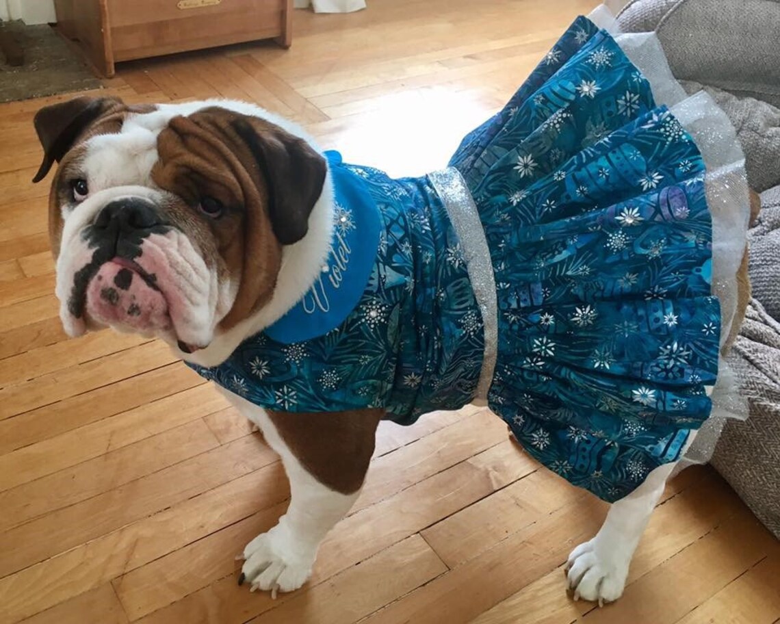 Winter Holiday Themed Princess Dress | Etsy