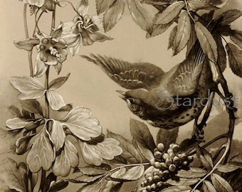 Vintage Sepia Print | Etsy