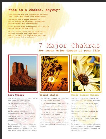 Conceptos básicos de los chakras para una salud óptima Guía PDF imprimible Sanación energética ...
