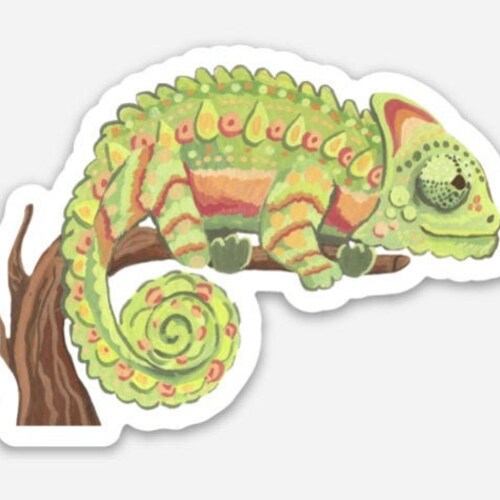 Chameleon Sticker Chameleon Decal Jackson Chameleon Sticker - Etsy
