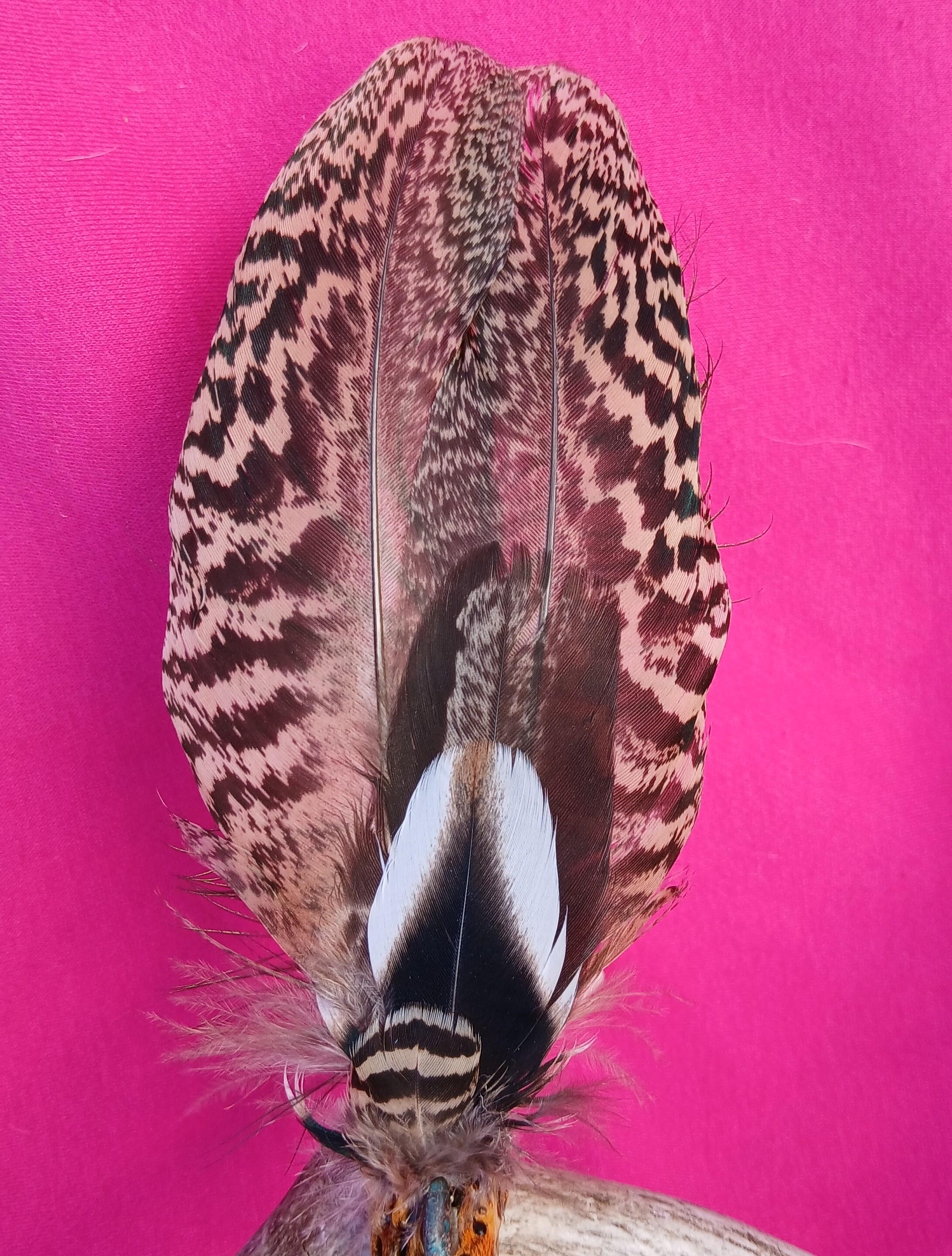 Handcrafted Ceremonial/smudging Feather Fan #131 - Etsy