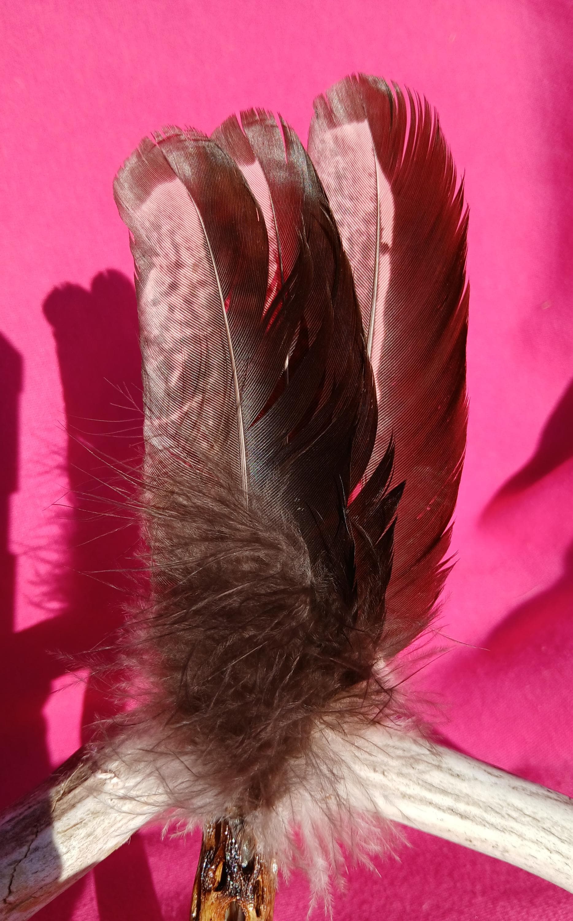 Handcrafted Ceremonial/smudging Feather Fan #135 - Etsy