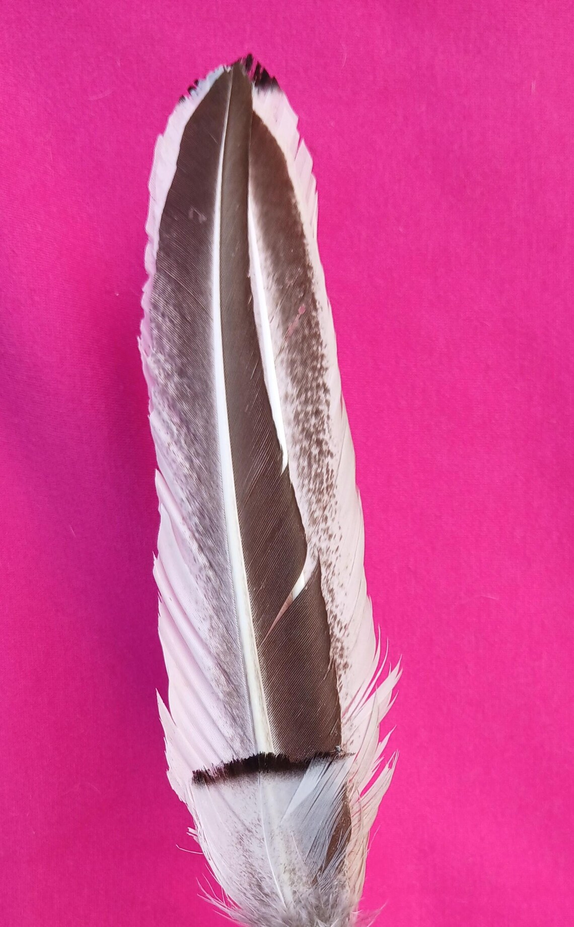 Handcrafted Ceremonial/smudging Feather Fan #27 - Etsy