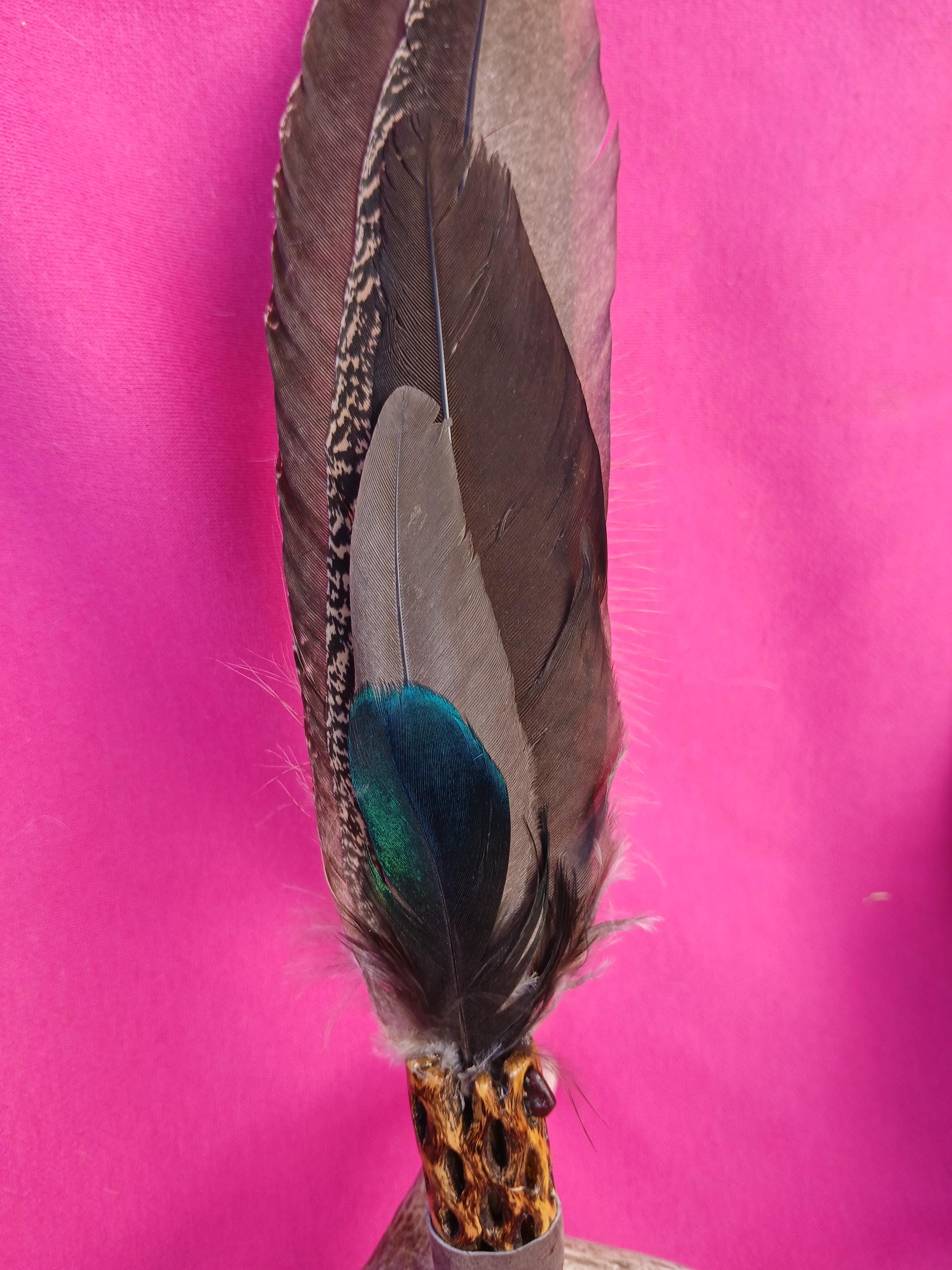 Handcrafted Ceremonial/smudging Feather Fan #60 - Etsy