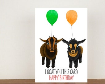 Pygmy Goat | Etsy