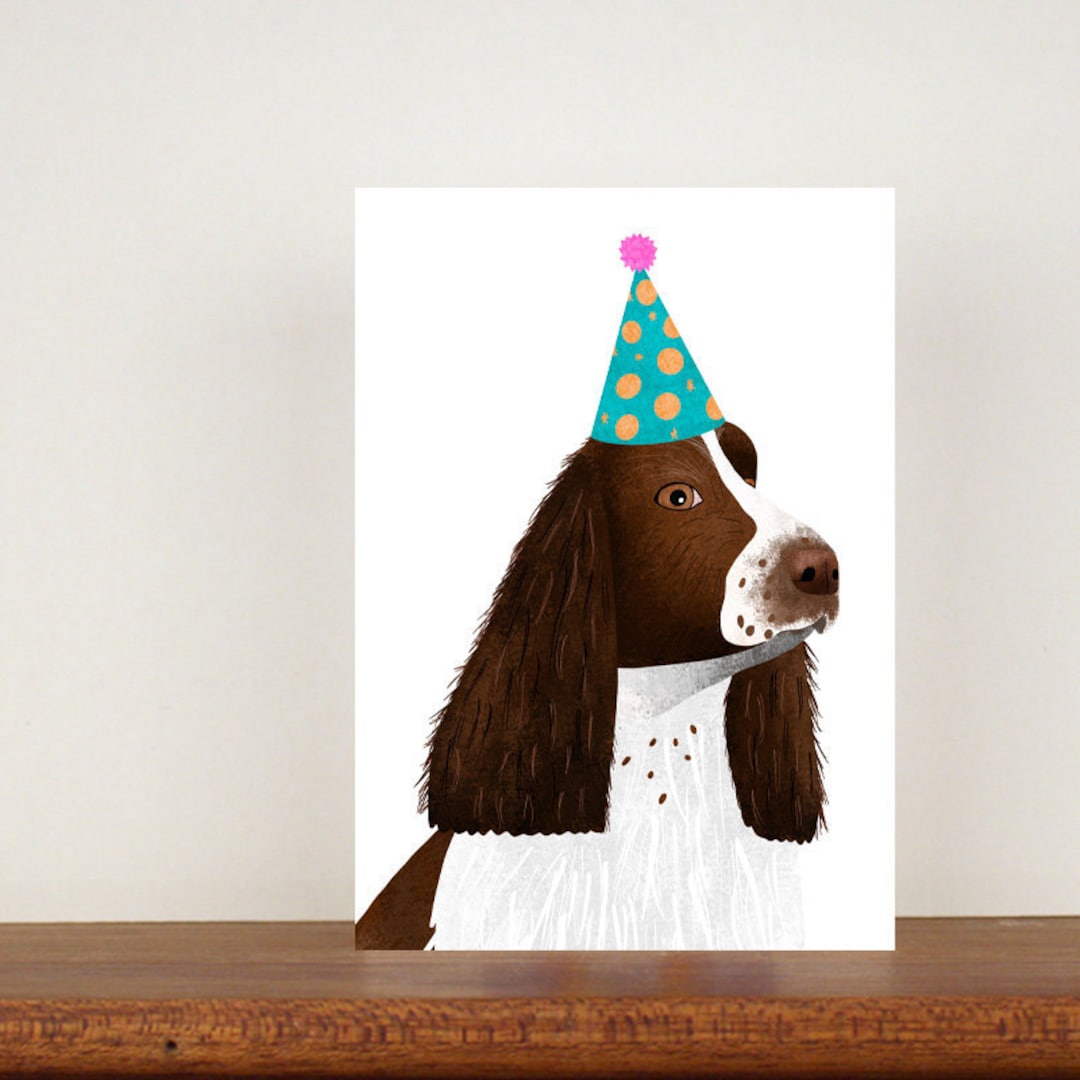 English Springer Spaniel Birthday Card, Birthday Cards, A6 Card, Cute ...