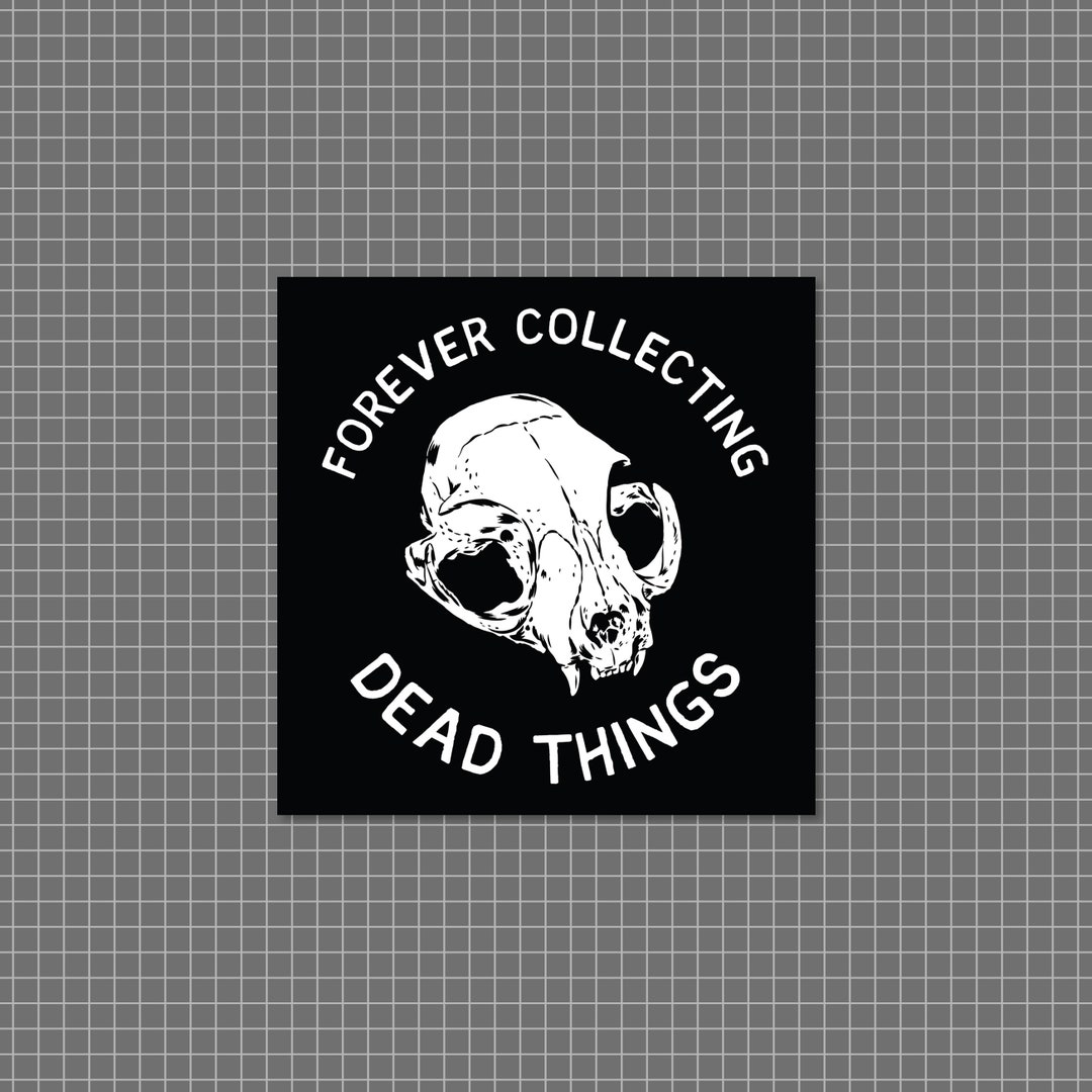 Forever Collecting Dead Things Illustration | High-quality 21cm Square ...