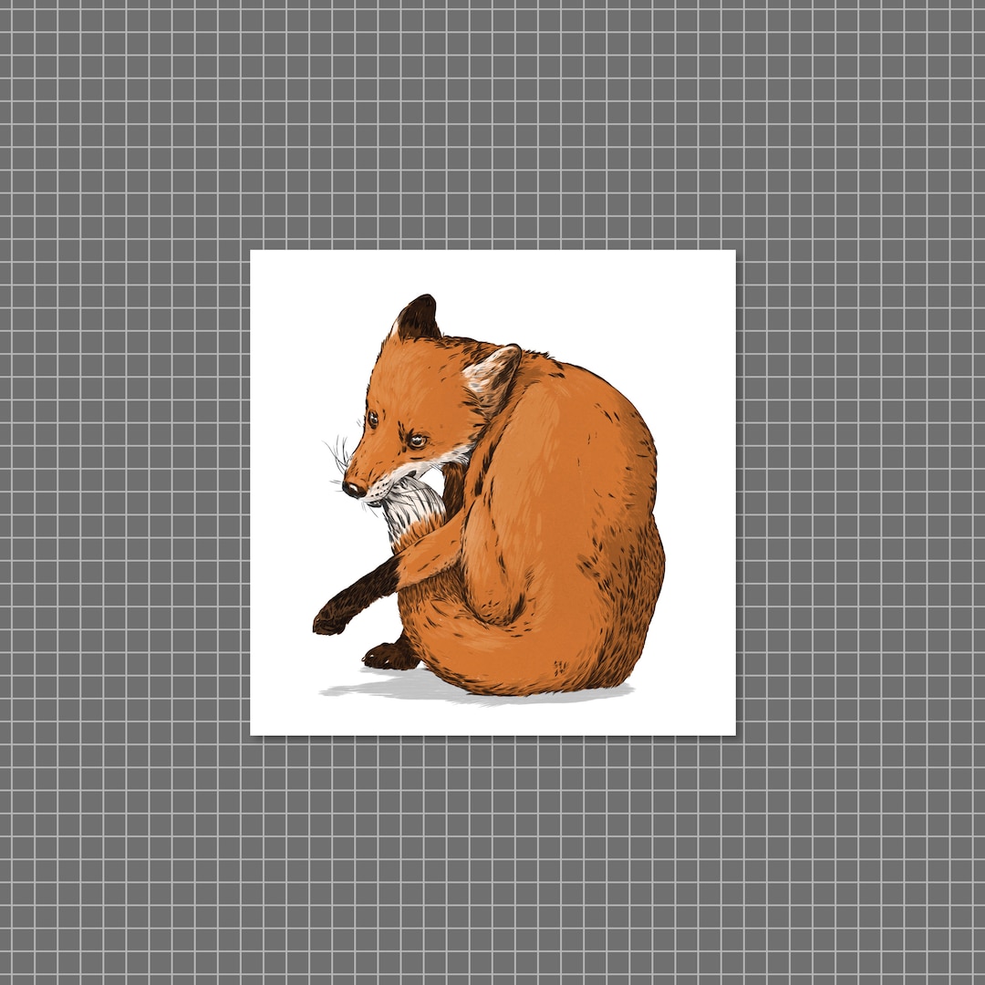 Fox Biting It's Tail Illustration | High-quality 21cm Square Art Print ...