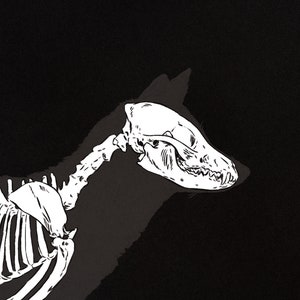 Fox Bones | A4 High-quality Fox Skeleton Illustration Borderless Art ...