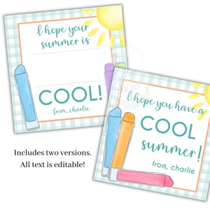 Have a COOL Summer Tag | Popsicle Favor Tag | Self-edit | Summer Class ...