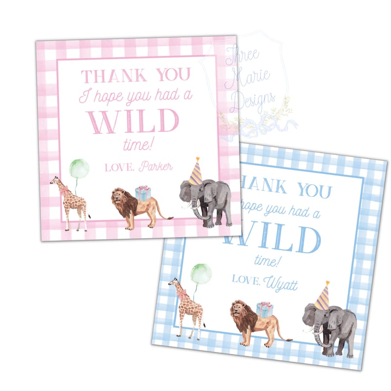 Zoo Theme Birthday - Etsy