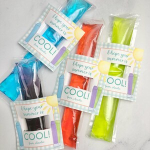 Have a COOL Summer Tag | Popsicle Favor Tag | Self-edit | Summer Class ...