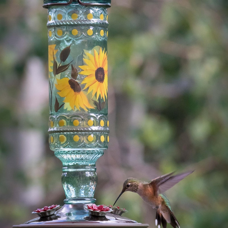 Vintage Hummingbird Garden - Etsy
