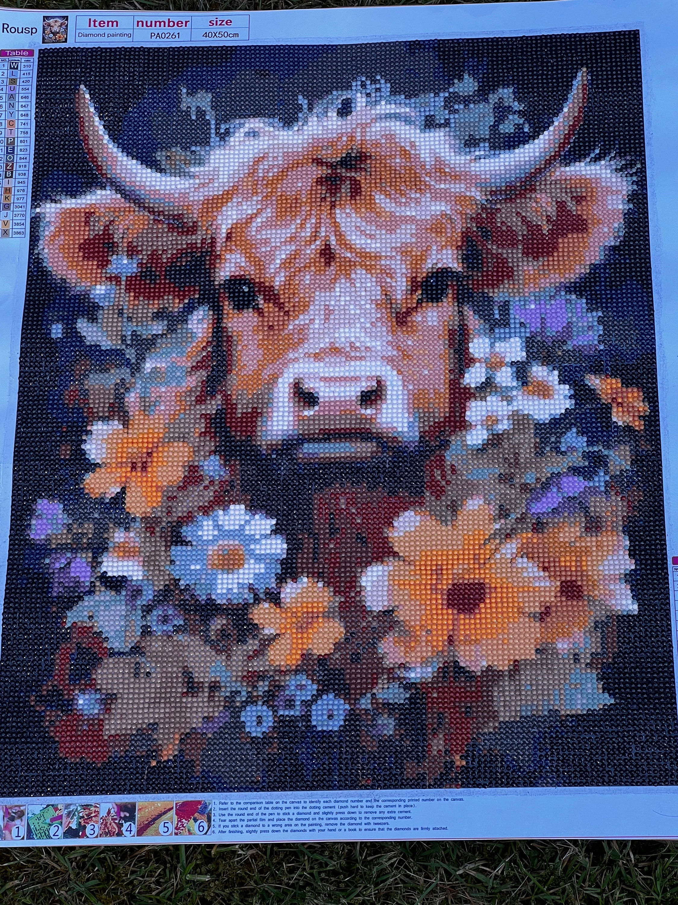 Completed 16x20 Highland Cow Diamond Art 20,000 Tiny Diamonds - Etsy
