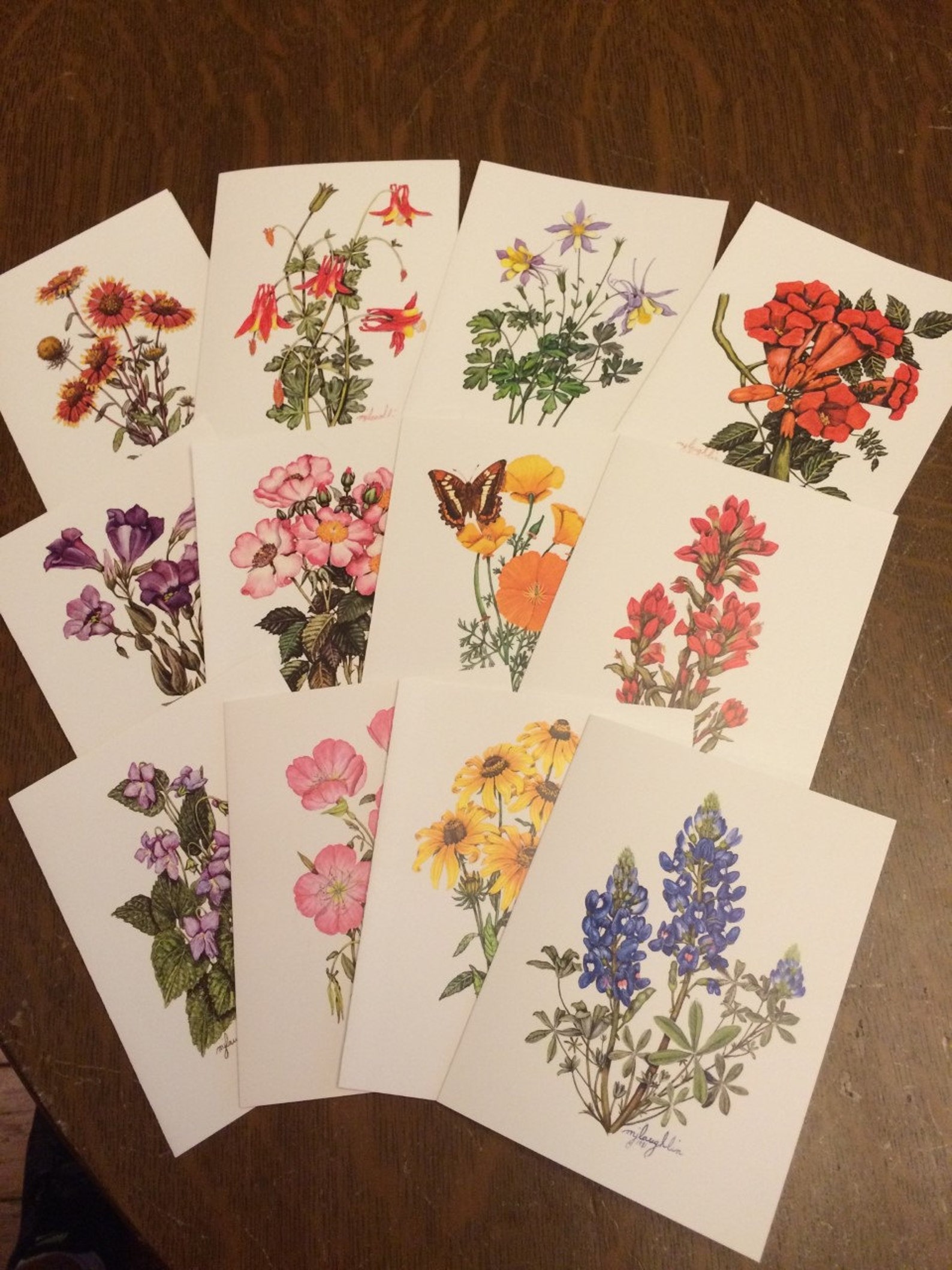 Wildflower Note Cards - Etsy