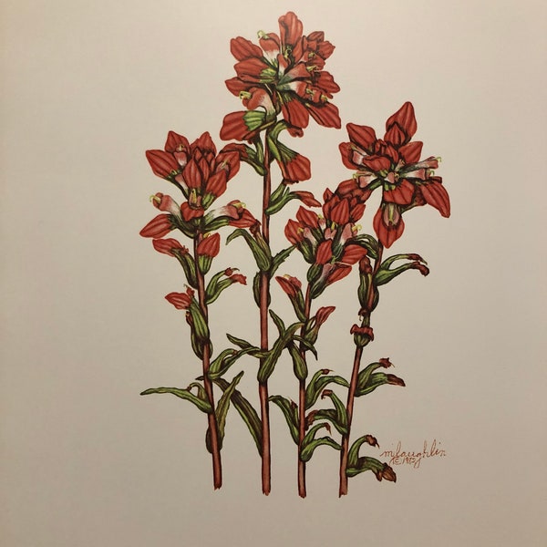 Indian Paintbrush Fake Flower - Etsy