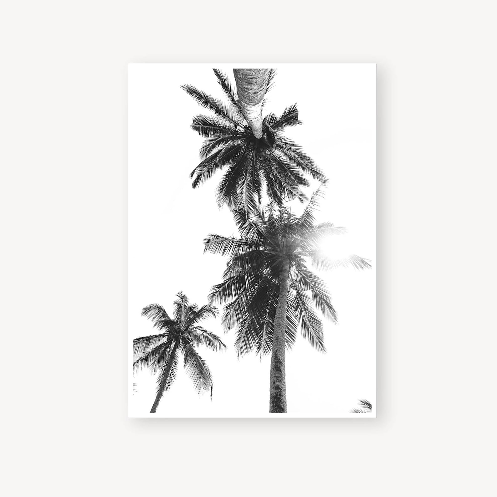 Palm Tree Prints Set Of 3 Prints Digital Download Wall Art Etsy