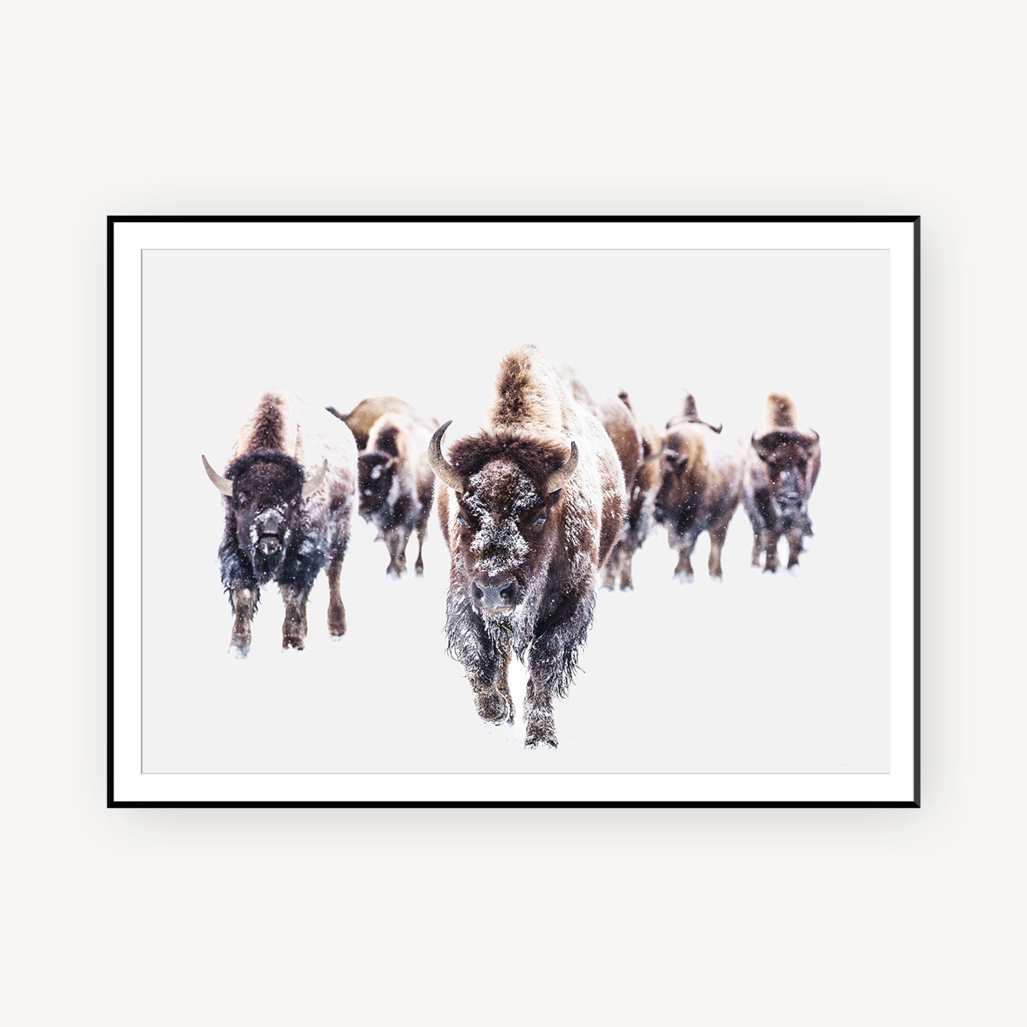 Buffalo Print Bison Print Modern Minimalist Digital | Etsy