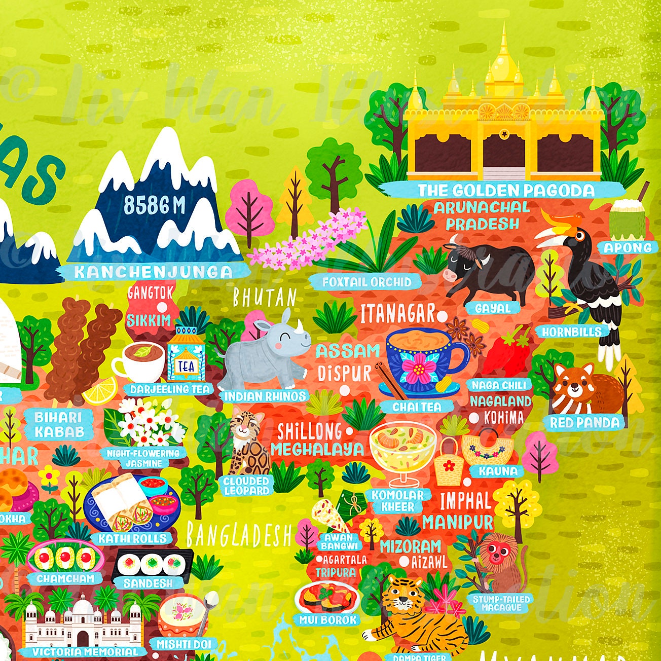 India Food Map Postcard. Illustrated map of India A6 size | Etsy