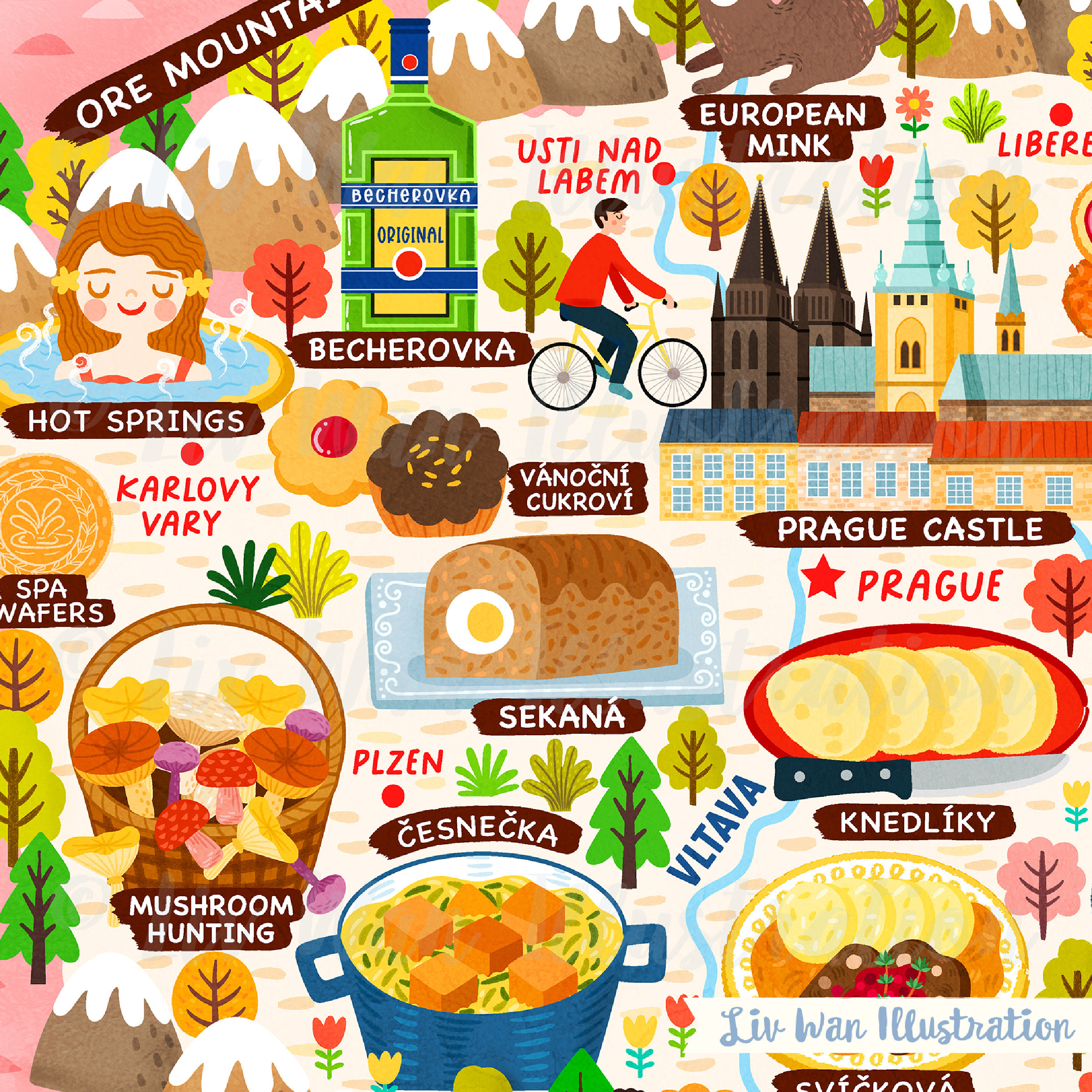 Czech Republic Map Poster. Beautiful Wall Art. Ships - Etsy UK