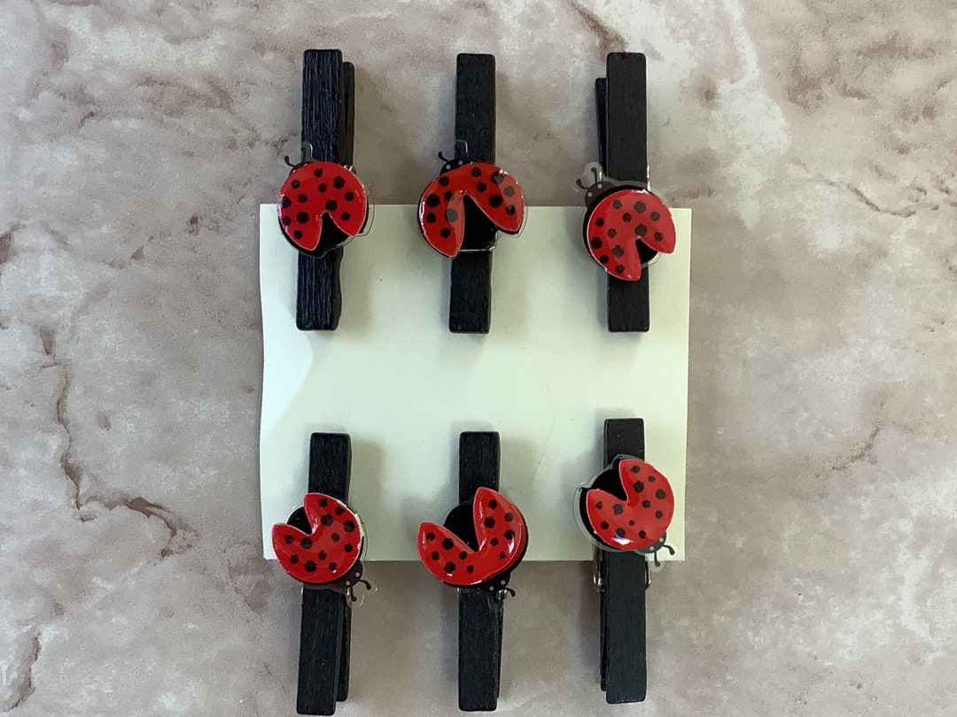 Ladybug Clothespin Tag Ladybug Clothespin Clip, Photo, Note, Tag Holder ...