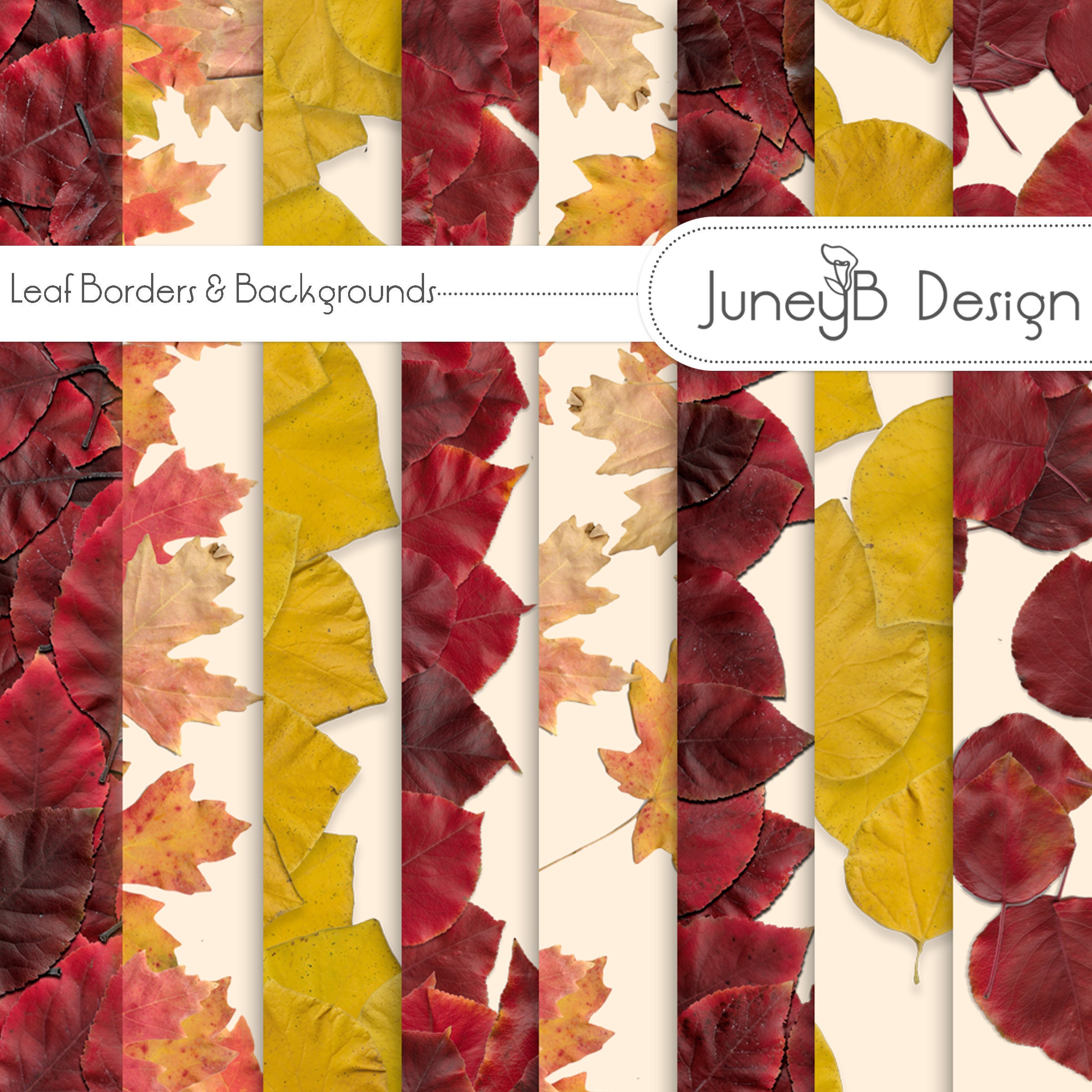 Real Fall Leaf Borders and Overlays, Leaf Page Borders, Fall Scrapbook ...
