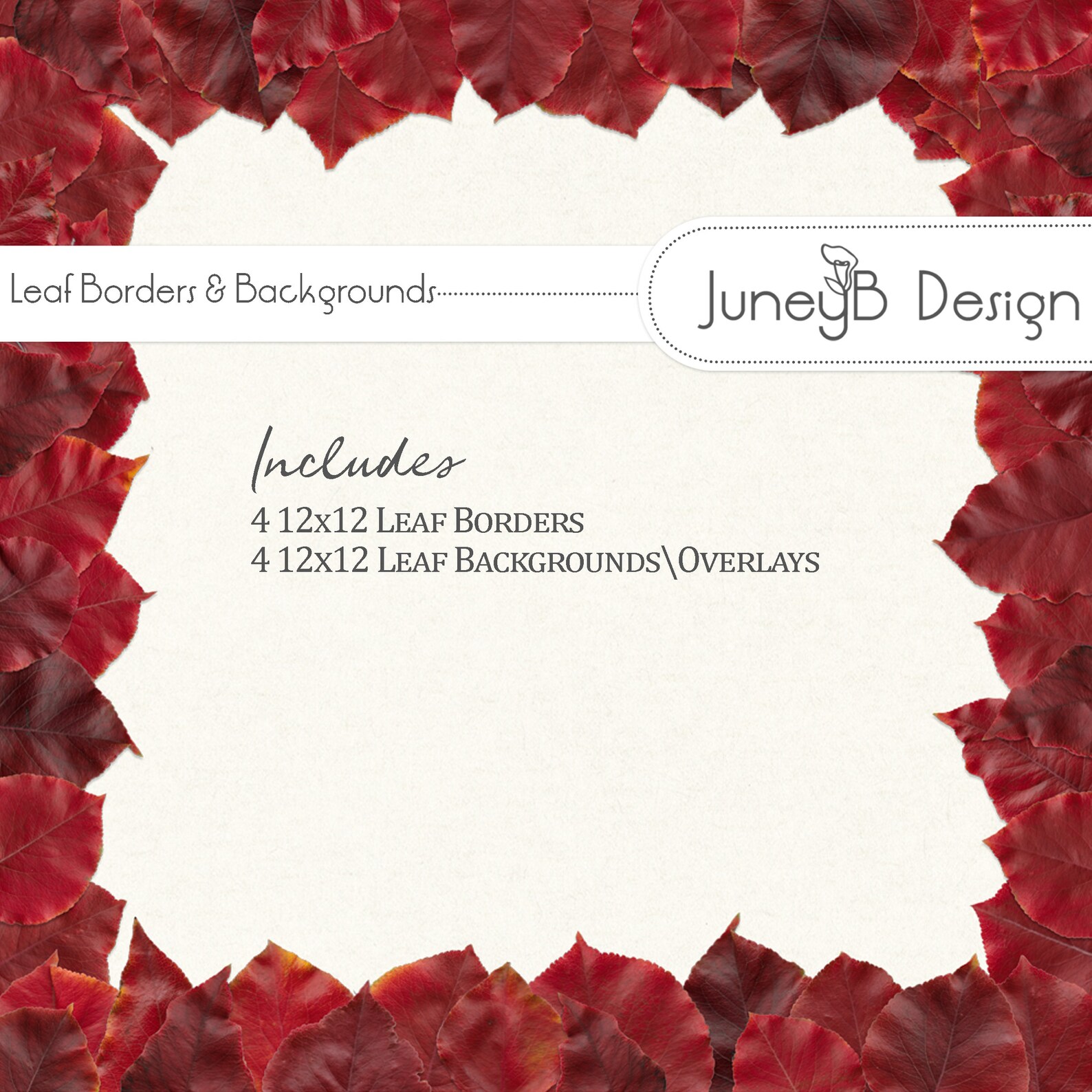 Real Fall Leaf Borders and Overlays, Leaf Page Borders, Fall Scrapbook ...
