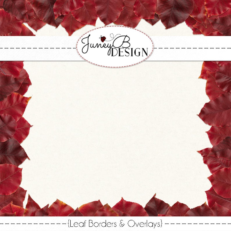 Real Fall Leaf Borders and Overlays Leaf Page Borders Leaf | Etsy