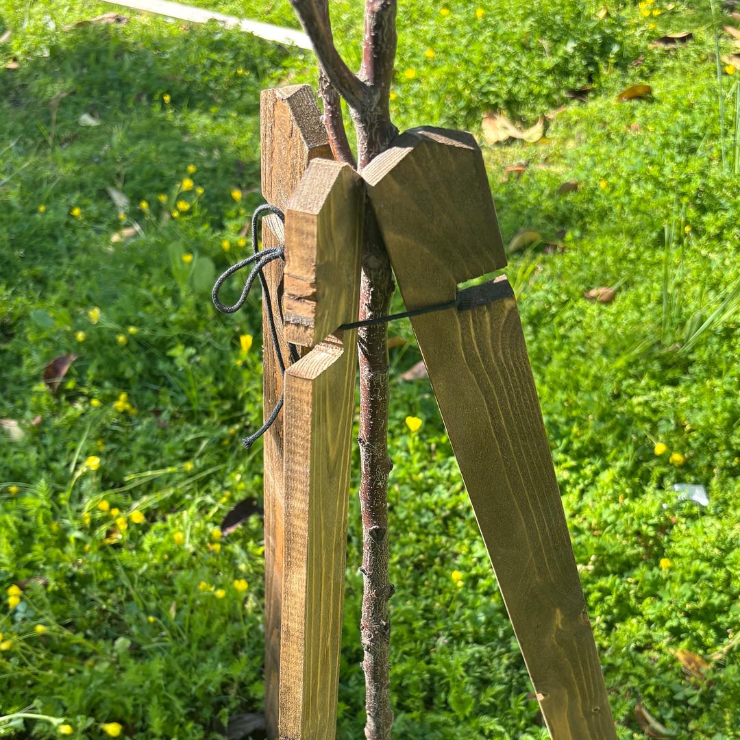 Rustic Wooden Plant Support Set of 3, Handmade Tree Stake, Garden Decor ...