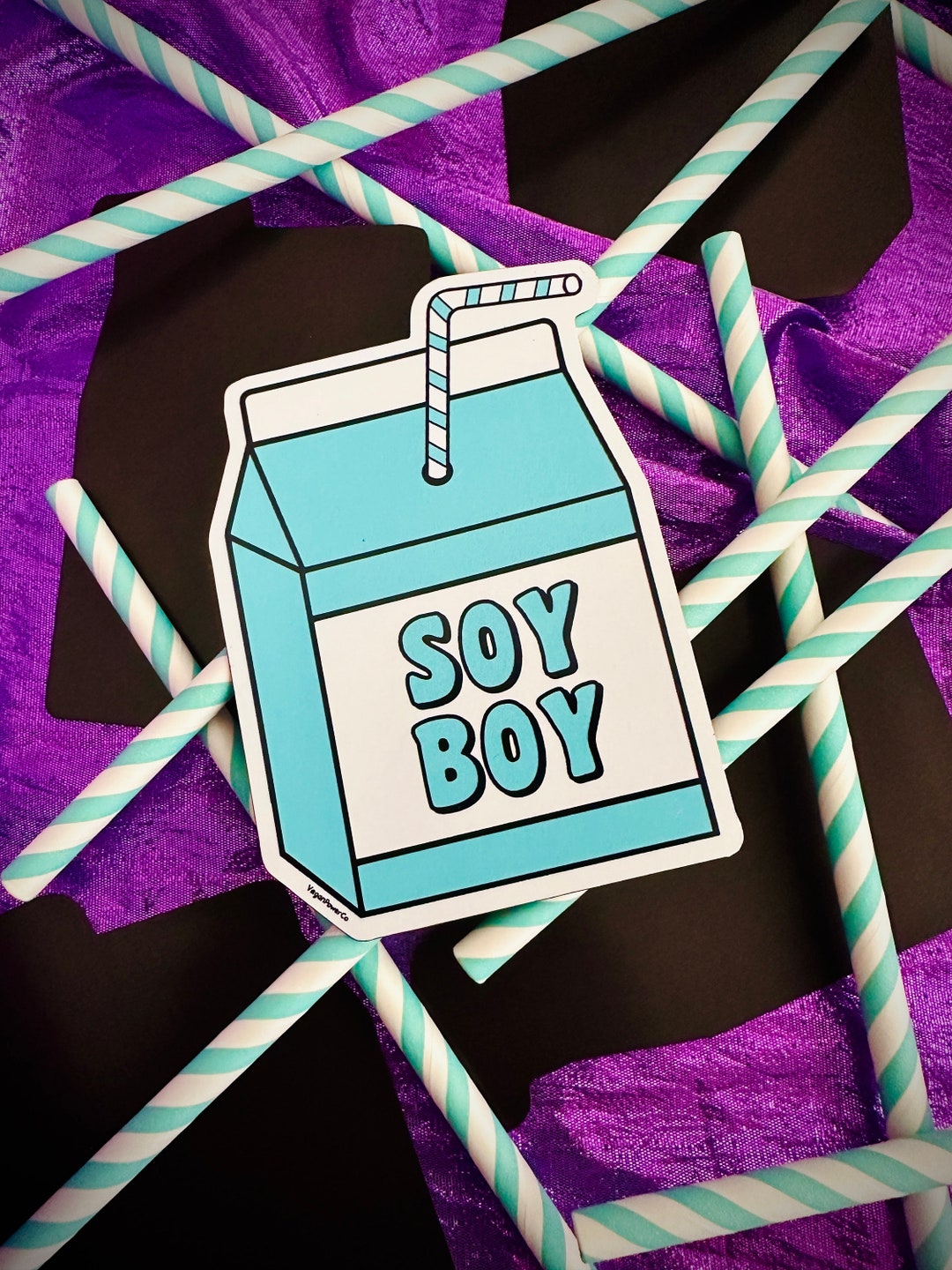 SOY BOY Magnet - Vegan Pride - Retro Milk Carton Thin Magnetic ...