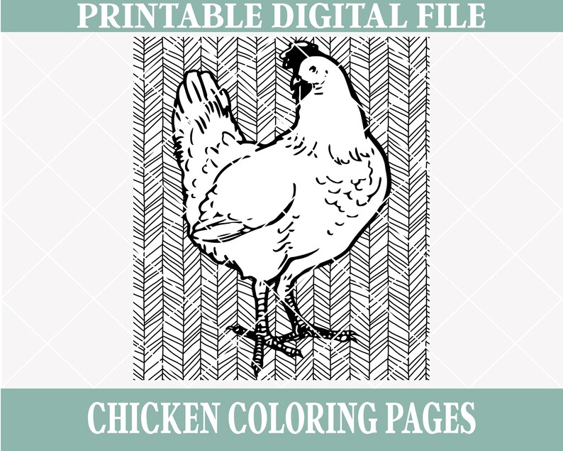 Digital and Printable Chicken Coloring Pages Adult Coloring - Etsy