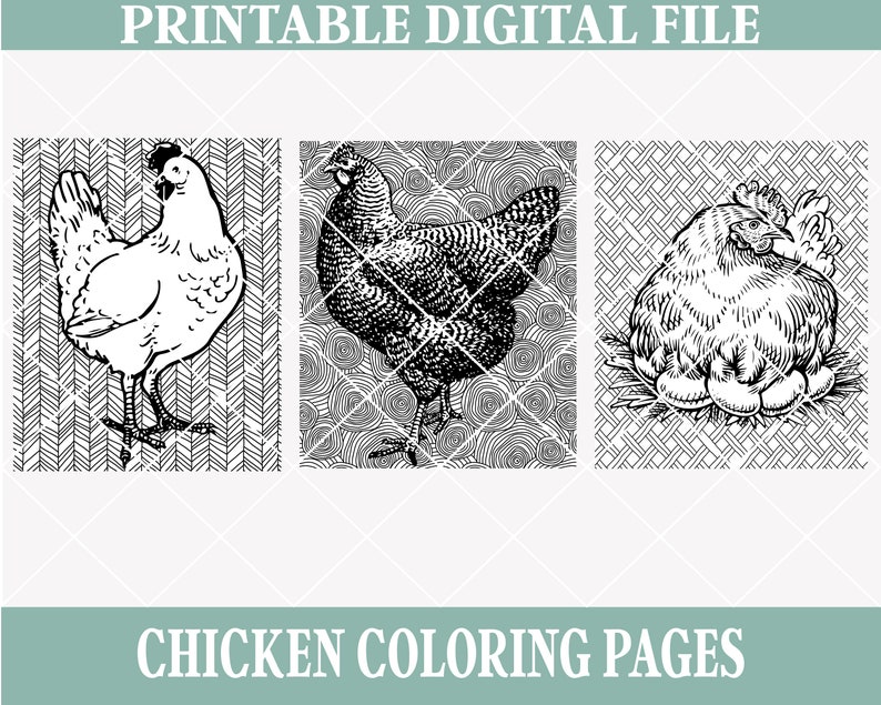 Digital and Printable Chicken Coloring Pages Adult Coloring - Etsy