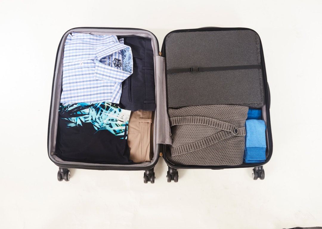 LIQUAGE 3-PK. Travel Safe Suitcase Foam for Your Wine or Spirits ...