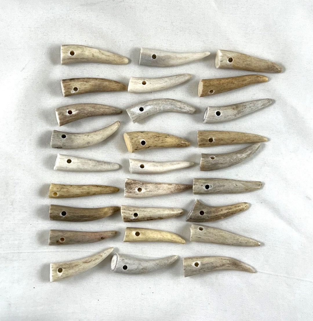 Twenty-five 25 1 3/4 Drilled Whitetail Deer Antler Tine Tips for Arts ...